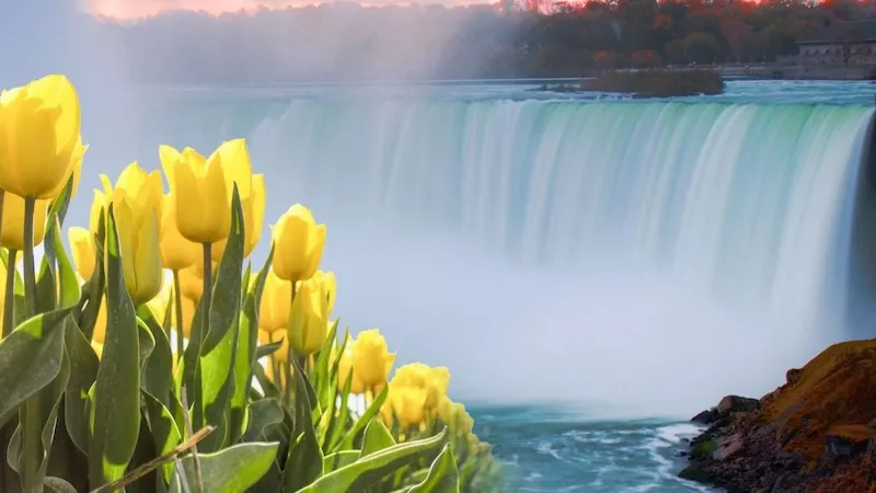 Best Time to Visit Niagara Falls – Seasonal Travel Guide